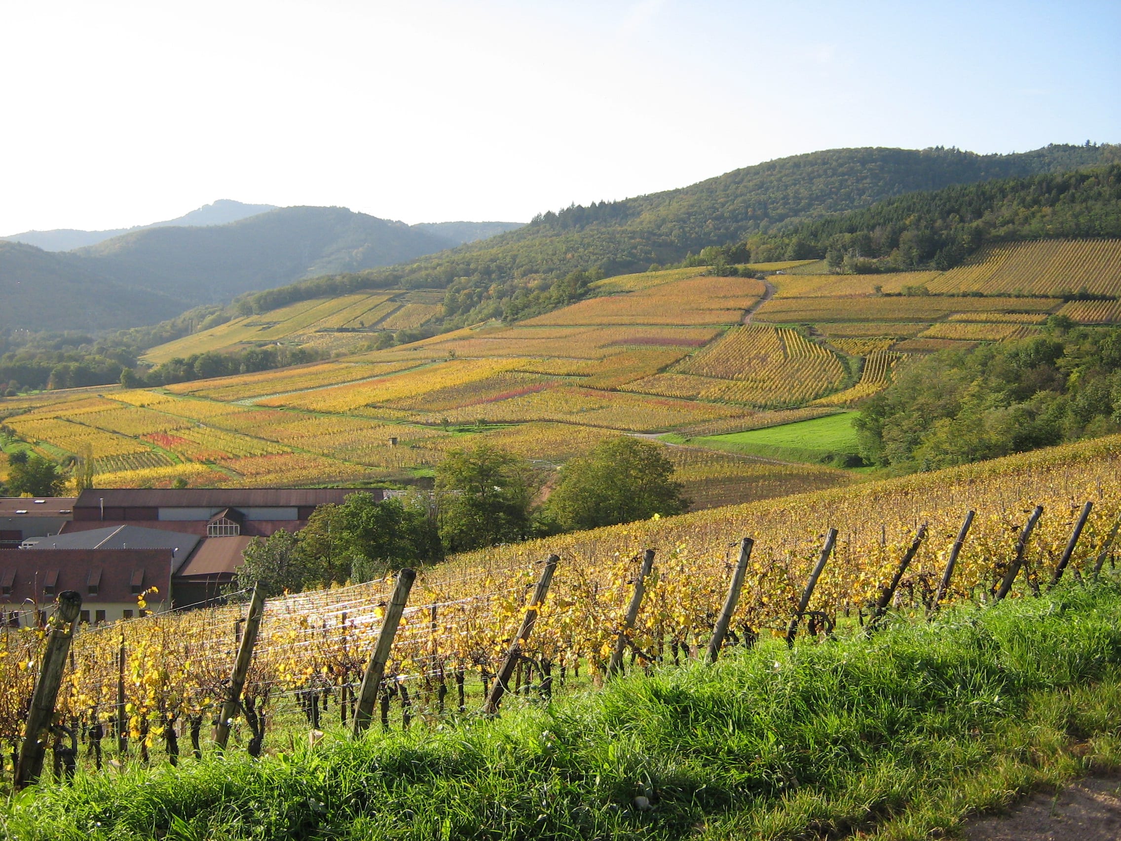 Tourisme - Site officiel de la Ville de Turckheim